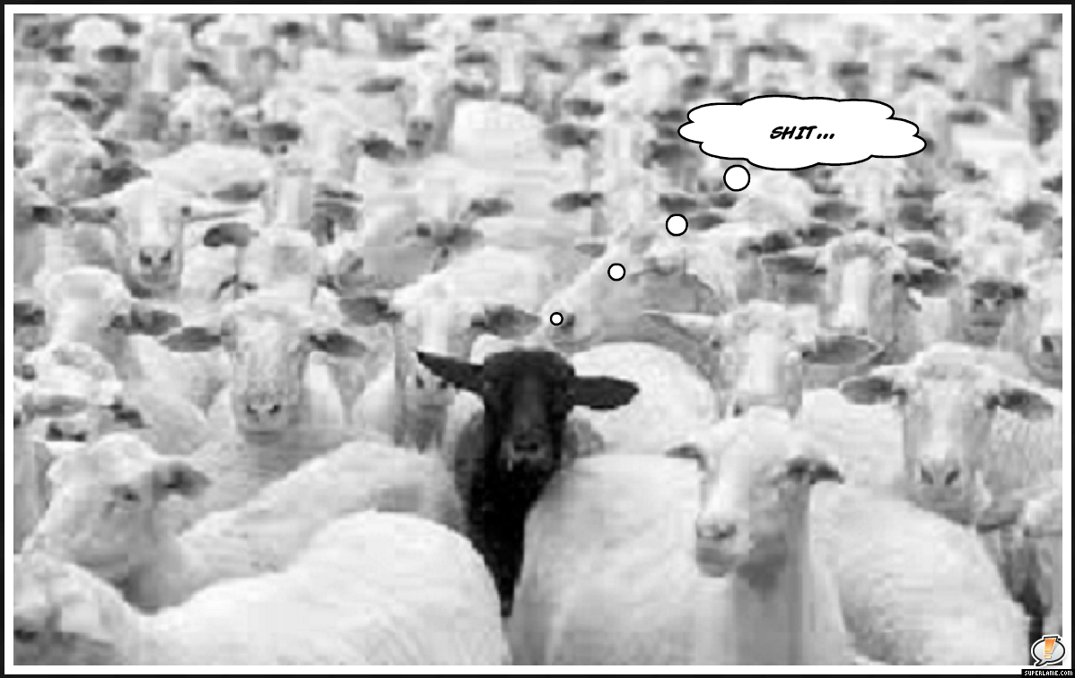 Mary had 10,000 lambs Huh? – Comedy Central Serious